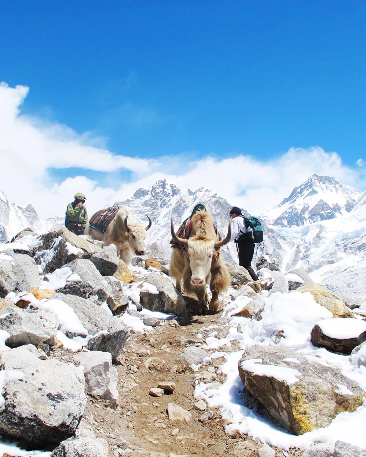 Mountain Gurus | Outdoorecreation