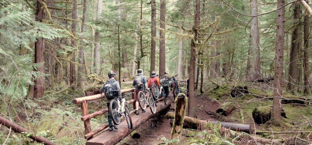 Cog Wild Mountain Bike Tours | Outdoorecreation