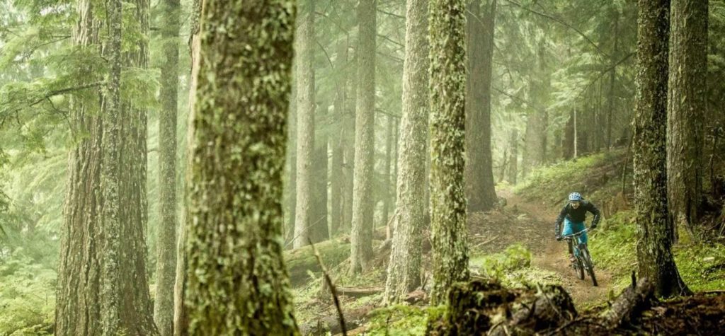 Cog Wild Mountain Bike Tours | Outdoorecreation